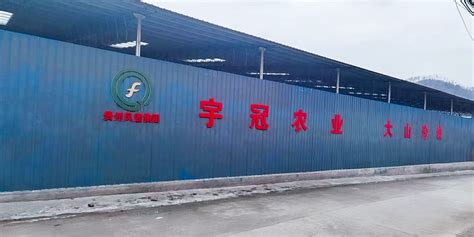 网站首页 贵州凤壹实业集团有限公司
