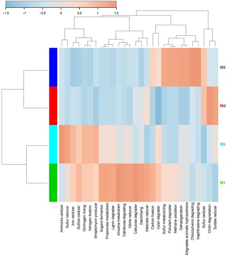 4 Taxonomy Based Functional Profiling Of Bacterial Communities In