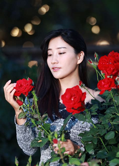 Discover 57 Rose Garden Portraits And Rose Garden Ideas Rose Garden