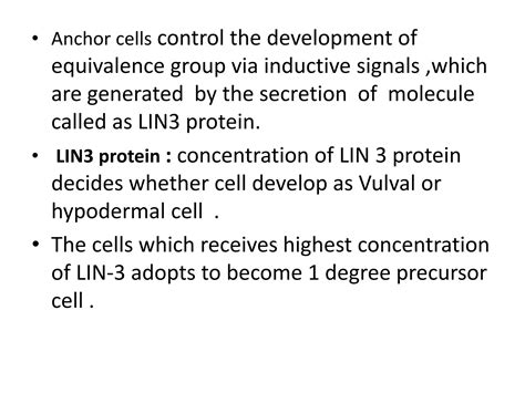 Organogenesis Vulva Formation In Caenorhabditis Elegans Pptx
