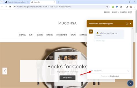 Sitespeakai How To Add A Chatgpt Chatbot To Bigcommerce