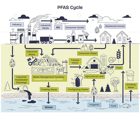 Pfas Cycle Illustrates Contamination Flow From Industry To Environment