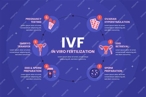 Free Vector Flat Design Ivf Infographic