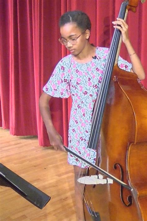 Electric Upright Bass Plans