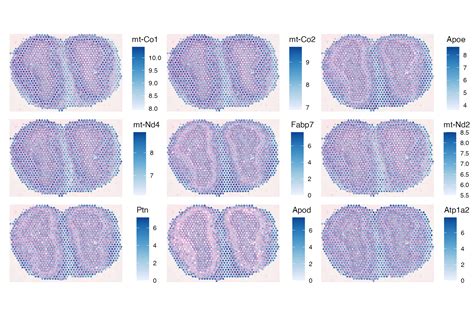 Spatial Analysis Of 10x Example Visium Dataset • Voyager