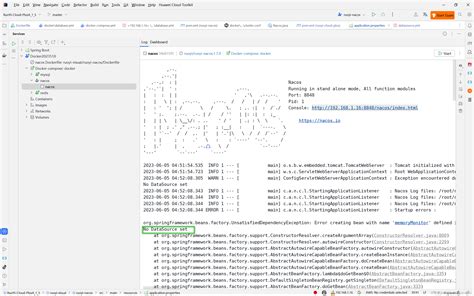 nacos运行报错 jar file does not existandcan‘t retrieve image id from build