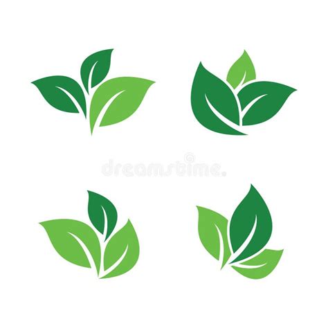 Leaf Symbol Vector Icon And Symbol Stock Vector Illustration Of