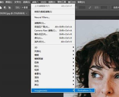 Portraiture40简体中文版本磨皮插件portraiture40茶色酒infoq写作社区
