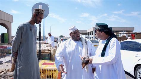 الزبنه Youtube