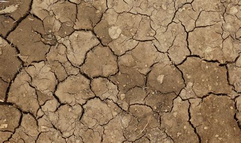 Desert Ground Texture