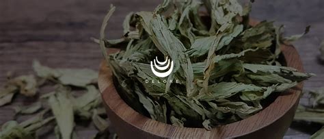 Other Treasure Effects Of Stevia Extract Sweetener