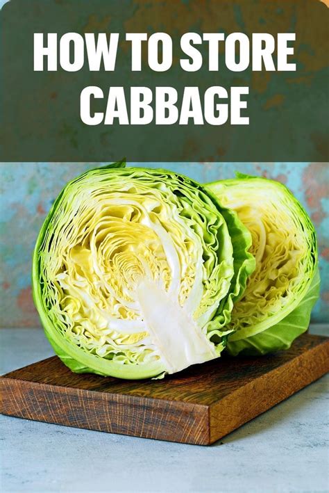 Cabbage Storage Tips Keep Your Cabbage Fresh And Crisp