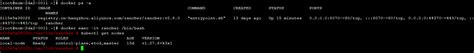 rancher 2 8 local集群通过kubectl shell 无法使用kubectl命令 rancher 2 x