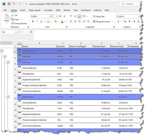 Planisware Timelines Onepager