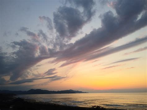 【本日の夕日】今が旬のハタハタと蛍烏賊 夕日ヶ浦温泉｜京都・夕日ヶ浦｜公式hp 旅館 新海荘｜地魚好きが集まる宿