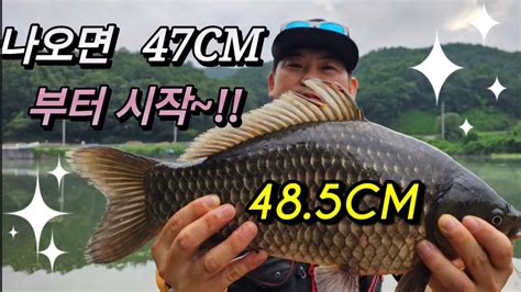 낚시터 소개 이시기 걸면 대물이 나오는 소류지 Youtube