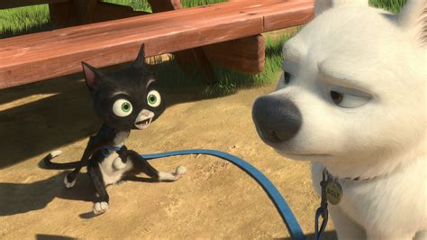 Bolt And Mittens American White Shepherds Wallpaper 33168491 Fanpop
