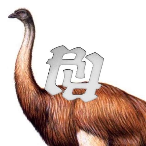 Saint MercatØr Da Biggest Bird Lyrics Genius Lyrics