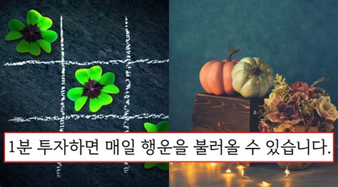 매일 행운을 불러오는 방법