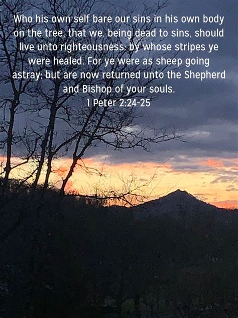 Revelation 21 4 And God Shall Wipe Away All Tears From Their Eyes And