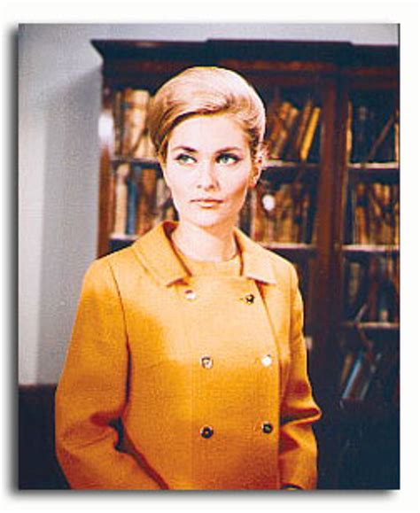 Ss3317483 Movie Picture Of Alexandra Bastedo Buy Celebrity Photos And