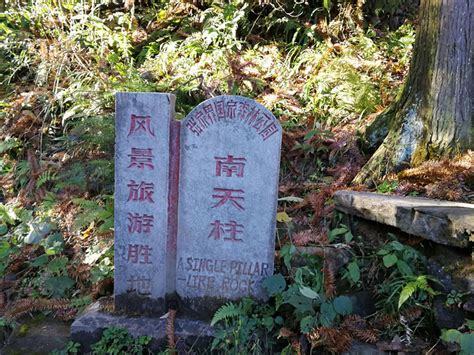 2023主要游览点六奇阁摘星台雾海金龟天书宝匣天桥遗墩猴帅点兵南天门黑枞垴 黄石寨 评论 去哪儿攻略