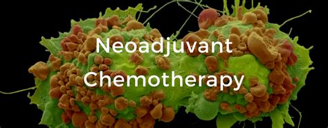 Neoadjuvant Chemotherapy The Breast Cancer School For Patients