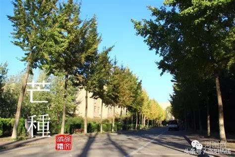 中國24節氣申遺成功洛陽版最美24節氣圖驚艷了所有人 每日頭條