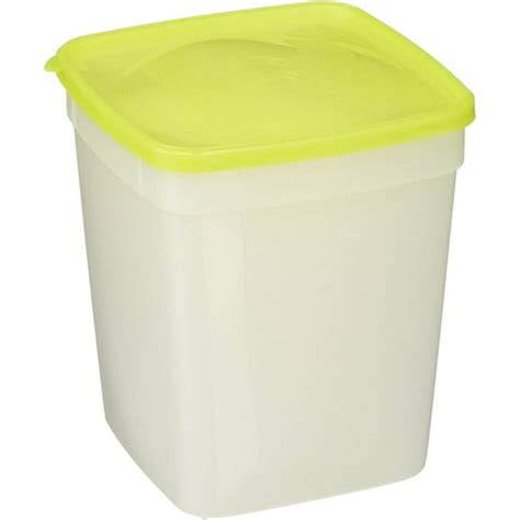 Pint Size Container