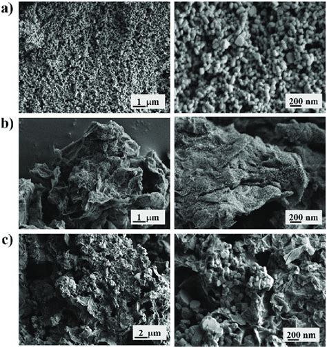 Sem Analysis Of A Zno Nps B Go And C Zno Go Nc Download Scientific Diagram