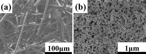 Sem Image Of A Mullite Fiber And B Zro2sio2 Aerogel Download Scientific Diagram