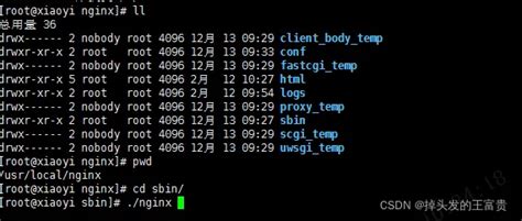 nginx部署vue前端页面（图文解说详细版） 阿里云开发者社区