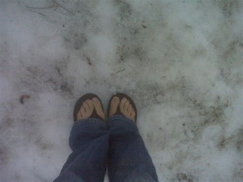 Aria Feet Photos Sexy Feets Celeb Feets