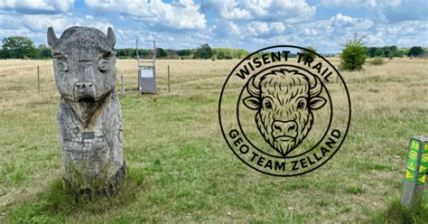 Ascii Code Tabel Ontdek Wat Het Is En Hoe Ascii Code Werkt