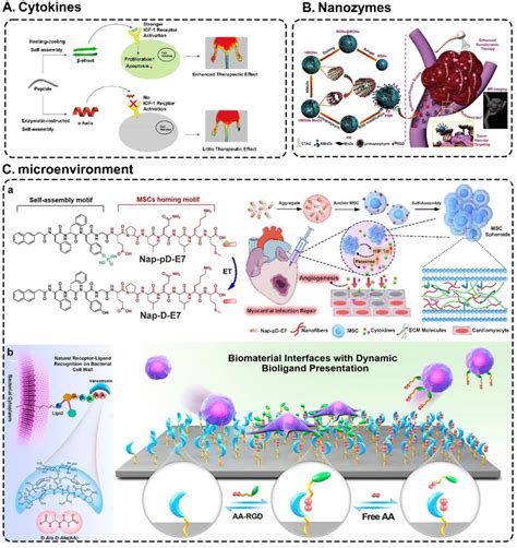 Biomimetic Peptide Nanomaterials For Therapy A Illustration Of
