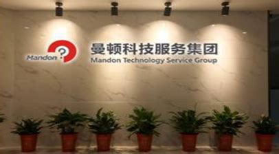 曼顿介绍 曼顿科技服务集团