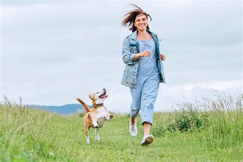 Tips To Keep Your Pet Healthy Pets Plus Us
