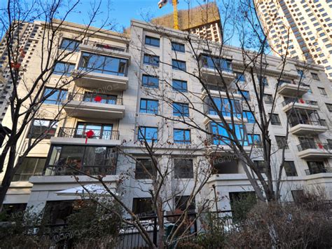 金地名悦沈阳金地名悦长春金地名悦大山谷图库