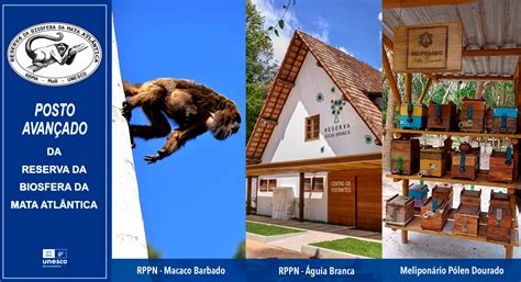 Conselho Nacional Da Reserva Da Biosfera Da Mata Atl Ntica Aprova Tr S