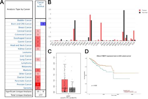 The Expression Of Tmeff1 In The Oncomine Dataset And Gepia Dataset Of
