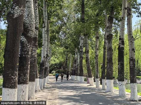 北京周末消暑纳凉好去处幽静的世外桃源太美了