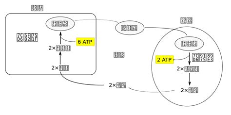 文件 Cori Cycle zh cn svg A 医学百科