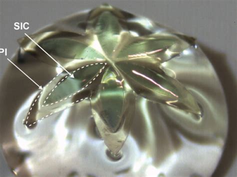 Researchers Discover New Way To Fabricate Stretchable Electronics Australian Manufacturing Forum