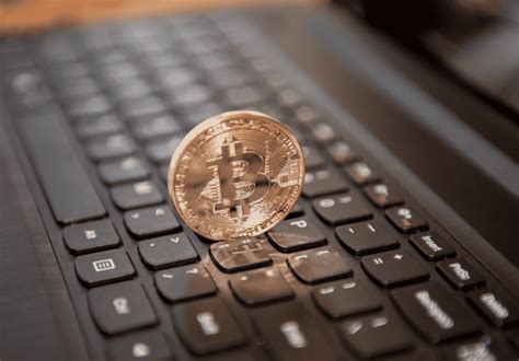 Should You Invest In Stocks Or Bitcoin Ilounge