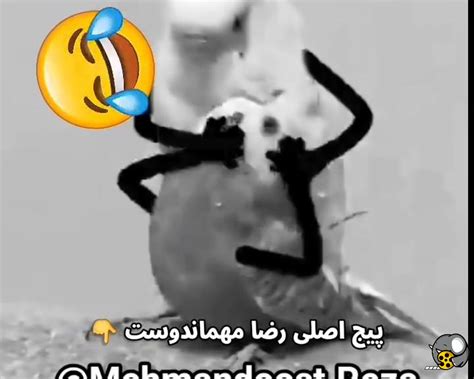 کلیپ خنده دار واسه روز پدر و جوراب پدر ها فیلو