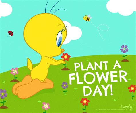 Tweety Bird Tweety Tweety Bird Quotes Favorite Cartoon Character