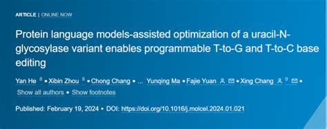 Utilizing Protein Language Models To Enhance The Development Of Novel