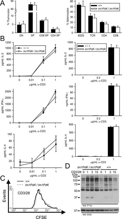 Normal Tcr Signal Transduction In Mice That Lack Catalytically Active