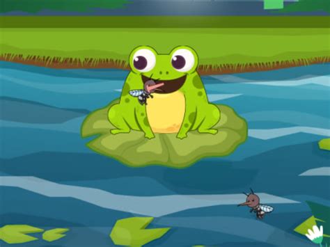 Frog Feast Game Play Online At Games