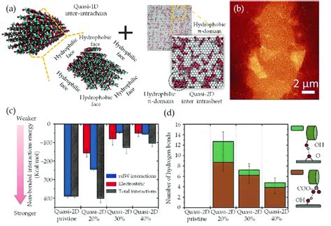 A Quasi 2d1d Assembly Driven By Amphiphilicity Via Download Scientific Diagram